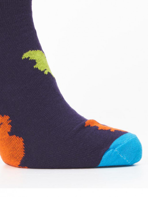 BRILLE Crazy x1 Socks